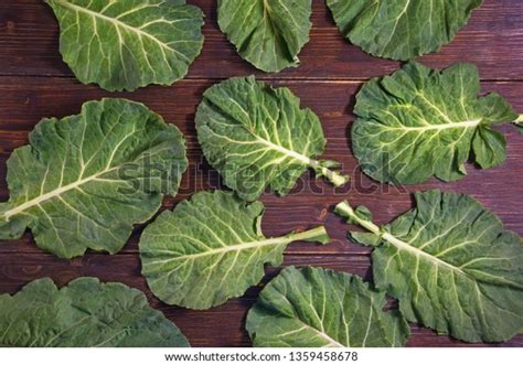 4087 Fotos De Collard Leaf Fotos Imágenes Y Otros Productos