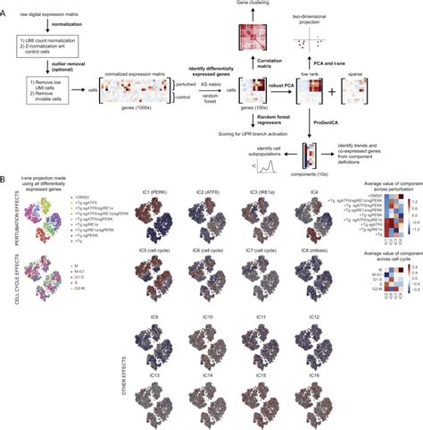 A Multiplexed Single Cell Crispr Screening Platform Enables Systematic