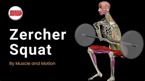 Zercher Squat Muscle And Strength