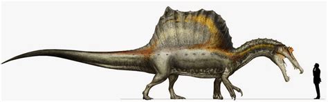 A Verdade Sobre O Espinossauro Paleopost Brasil Paleontologia