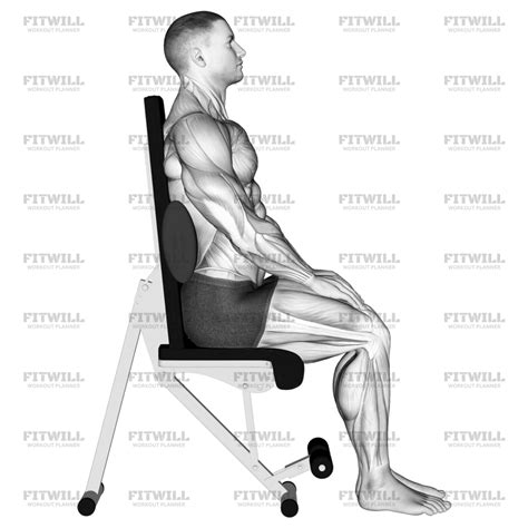 Static Position Seated Back With Pad Exercise Guide Techniques