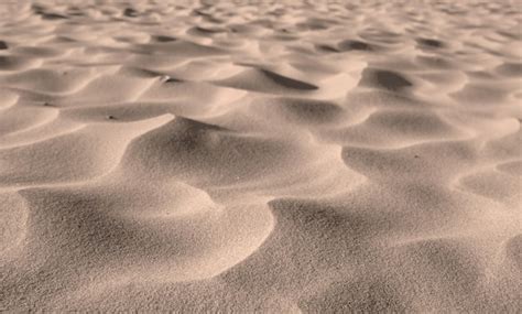 Premium Photo Grains Of Desert Sand From Dunes On Windy Beach In
