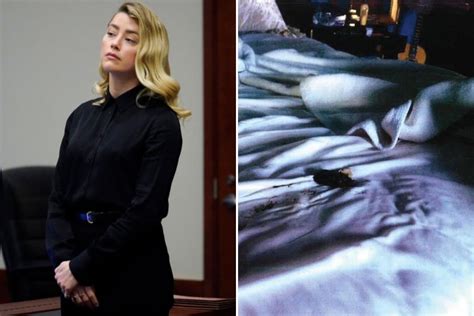 All The Juicy Details From The Johnny Depp And Amber Heard Trial