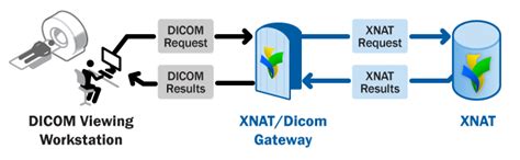 Top 10 Free Open Source Pacs Dicom Server Projects