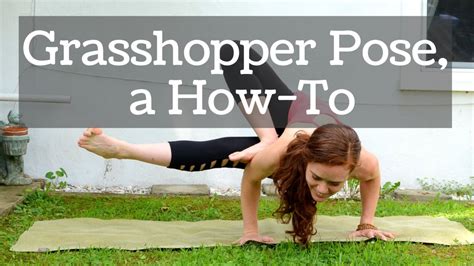 Grasshopper Pose A How To