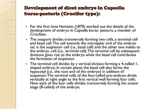 Developement Of Embryo Pdf