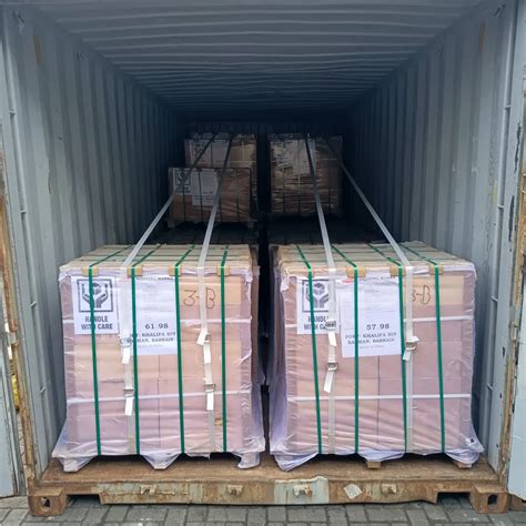 Cargo Palletization Service With Plastic Pallet 800x1200 Mm For Bags In Nagpur