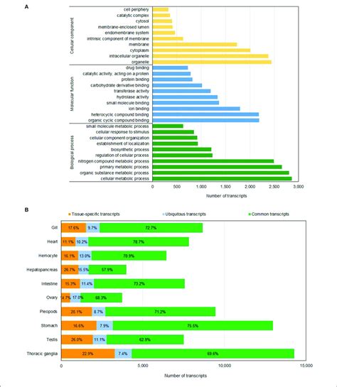 Gene Annotation And Transcript Distribution A Distribution Of