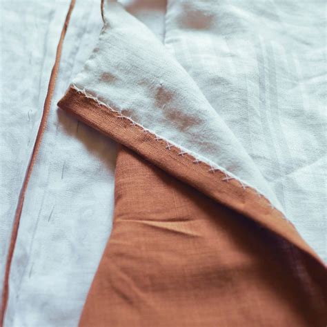 The Cuttle Corner The Cozy Cuttlefish