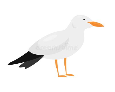 Arctic Tern Bird Stock Vector Illustration Of Migratory 310653363
