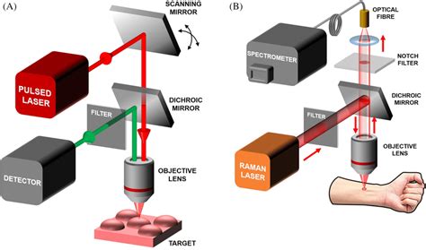Schematic Of A A Multiphoton Microscopy System And A B Confocal Raman