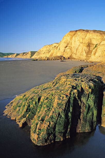 90 Playa De Drake Fotos Fotografías De Stock Fotos E Imágenes Libres