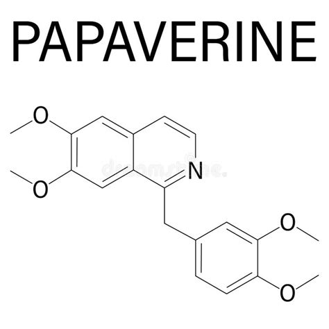 Antispasmodic Icon Stock Illustrations 39 Antispasmodic Icon Stock Illustrations Vectors