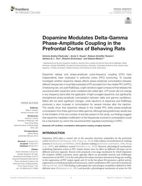 Pdf Dopamine Modulates Delta Gamma Phase Amplitude Coupling · Then