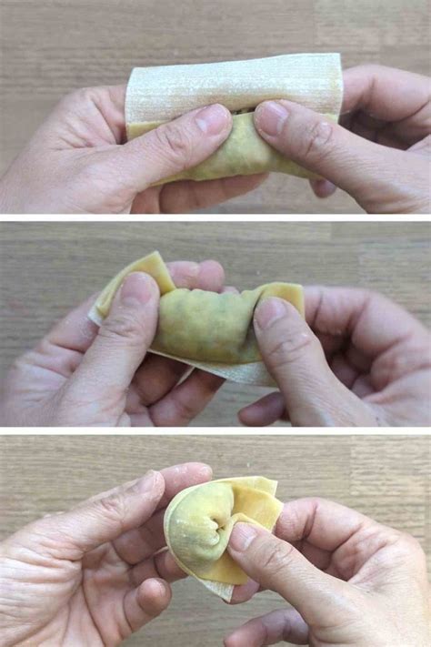Six Ways To Fold Wontons Red House Spice