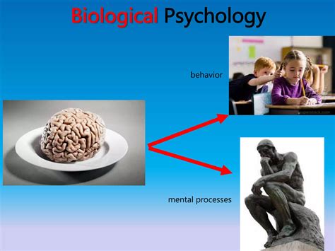 3 1 Neuron Powerpointppt