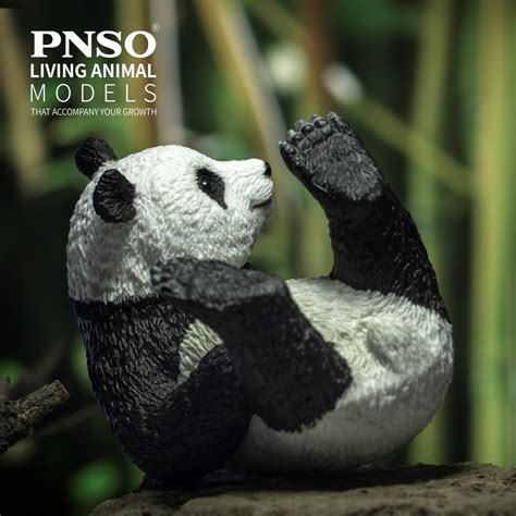 Ruxue the Panda Scientific Art Model from PNSO Living Animal Models Series – PNSO