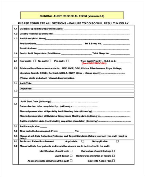 Audit Proposal Template