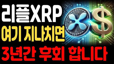 리플 전망 여기 지나치면 3년 간 후회 합니다 Youtube