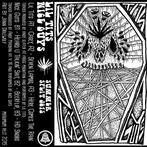 Lil Tits Nice Guys Summer Split 2015 Cassette Sorry State Records
