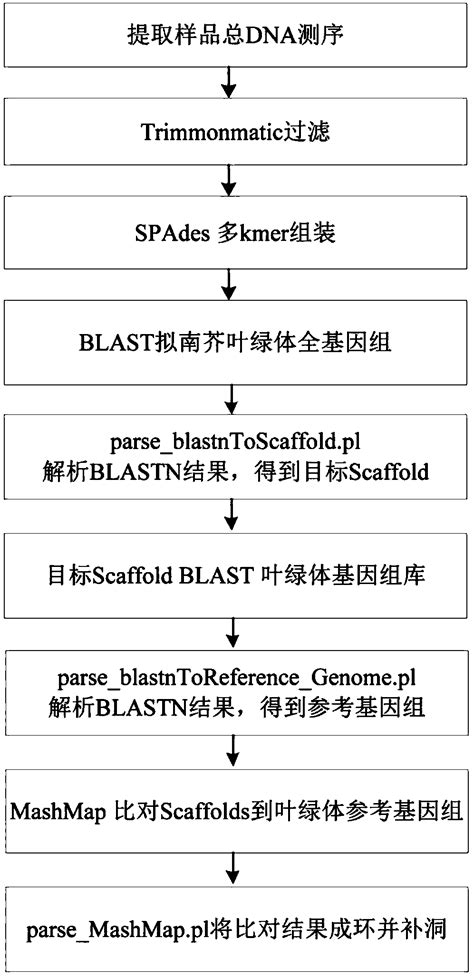 Chloroplast Whole Genome Assembling Ring Formation Method Based On Next Generation Sequencing