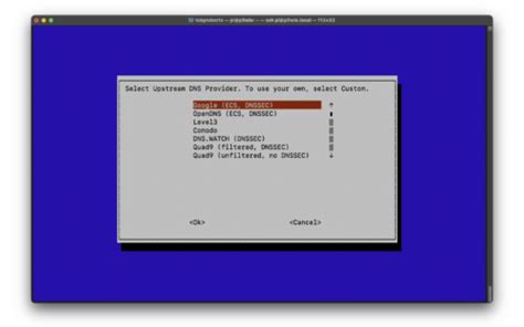 Block Ads On Every Device In Your House With A Raspberry Pi And Pi Hole Raspberry Pi
