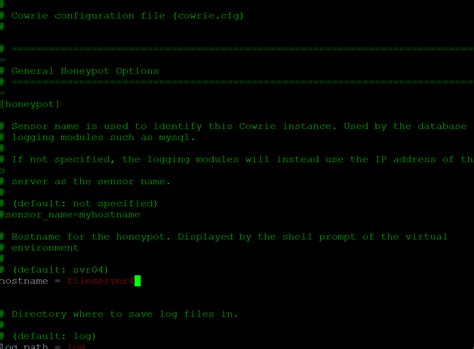 digital forensics and incident response how to setup a cowrie ssh honeypot