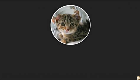 22 Image Animation Css And Transition Effects Onaircode