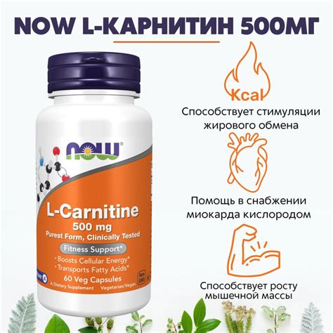 NOW L-Карнитин 500 мг 60 капс (CARNITINE 500mg 60 VCAPS) - купить с ...