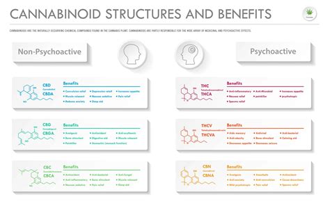 Understanding Cannabinoids Benefits Uses And Effects