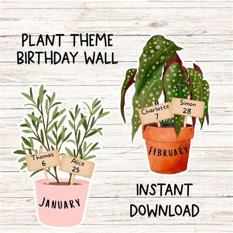 Plants Classroom Birthday Wall Png Pdf Powerpoint Editable
