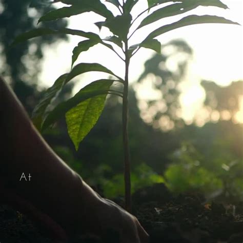 Nikki Byanski Posted On Linkedin