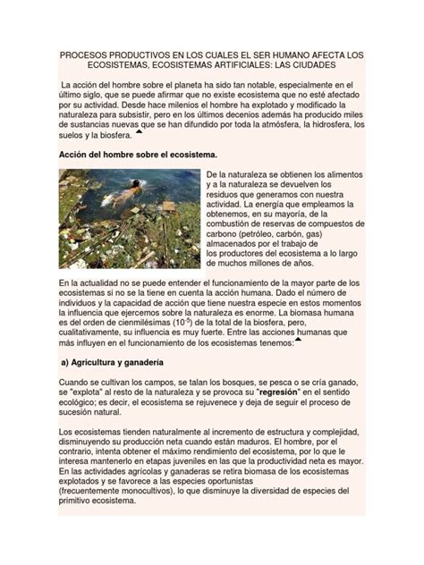 Procesos Productivos En Los Cuales El Ser Humano Afecta Los Ecosistemas