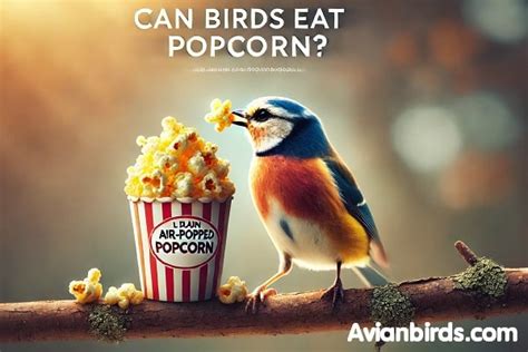 Do Birds Have Sex Understanding Bird Mating And Reproduction