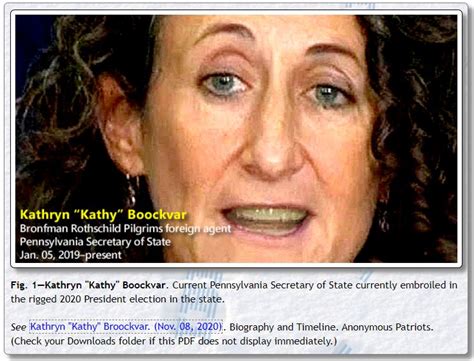 Kathy Boockvar Pa Sec Of State Hides Lifelong Foreign And Corporate