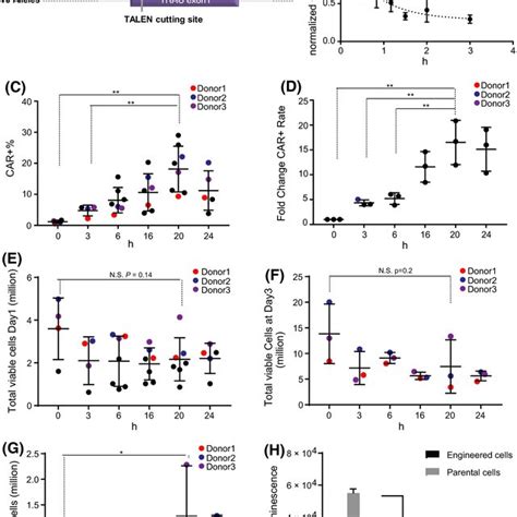 Two‐step Electroporation Improved Car‐t Cells Engineering With Dsdna