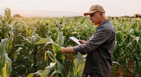 Microsoft Azure Data Manager For Agriculture Technocio