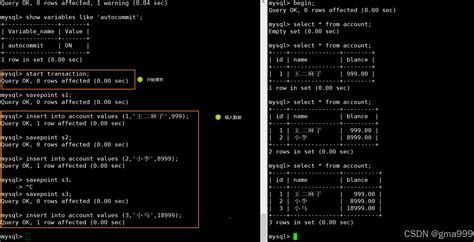 数据库的事务管理 数据库事务管理 Csdn博客