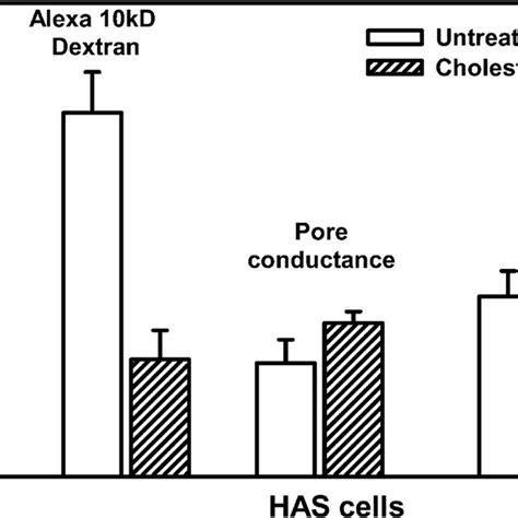 Cholesterol Enrichment Affects Dye Distribution Time Dye Distribution