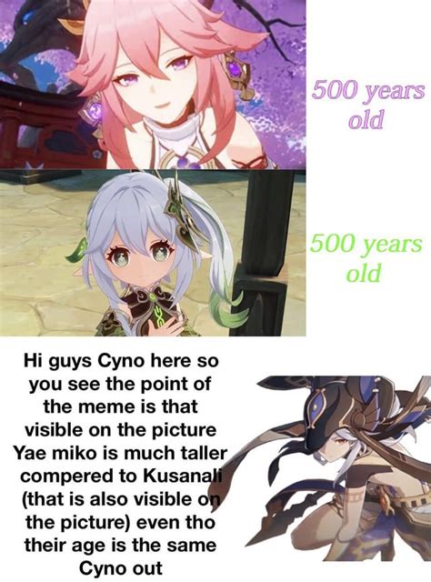 Thanks Cyno R Genshin Memepact