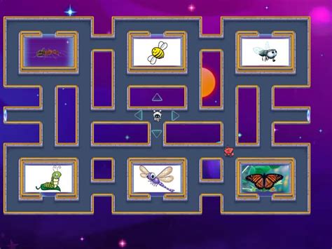 Bugs And Insects Maze Chase