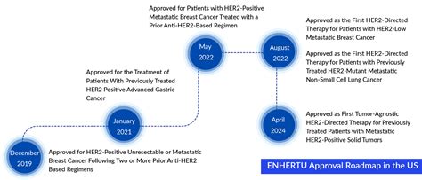 Enhertu First Tumor Agnostic Her2 Targeted Treatment
