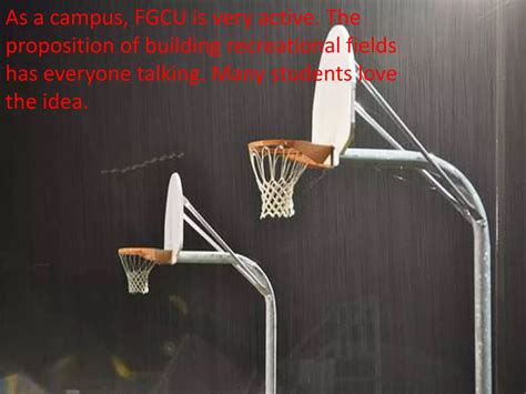 Nikki Leone Rogerian Argument Visual Paper 3 Draft Ppt