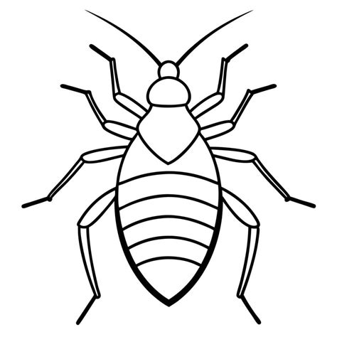 A Black And White Drawing Of A Cockroach 50984914 Vector Art At Vecteezy