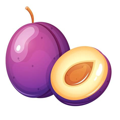 Premium Vector Plum With Plum Half Cartoon Style Vector Illustration
