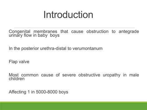 Posterior Urethral Valve Pptx