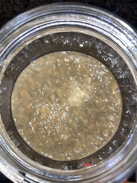 Healthy Pellicle Third Update To Neglected Sad Scoby Rkombucha