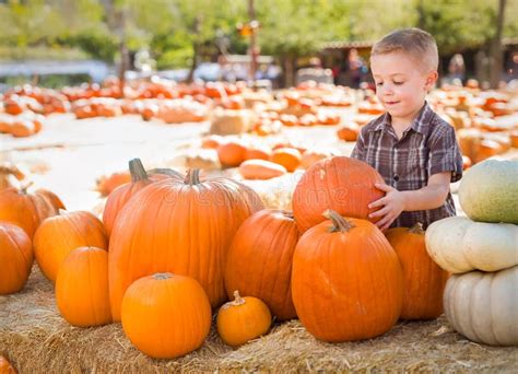 Cute Boy Having Fun At The Pumpkin Patch On A Sunny Fall Day Stock