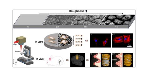 Multiscale Hierarchical Micro And Nano Surface Induced By High