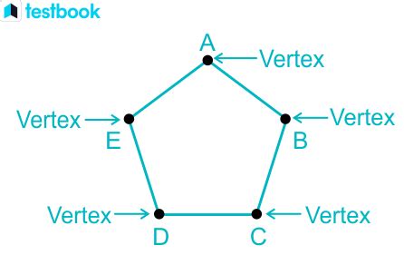 Sat Vertices Introduction Definition 2d And 3d Difference Between
